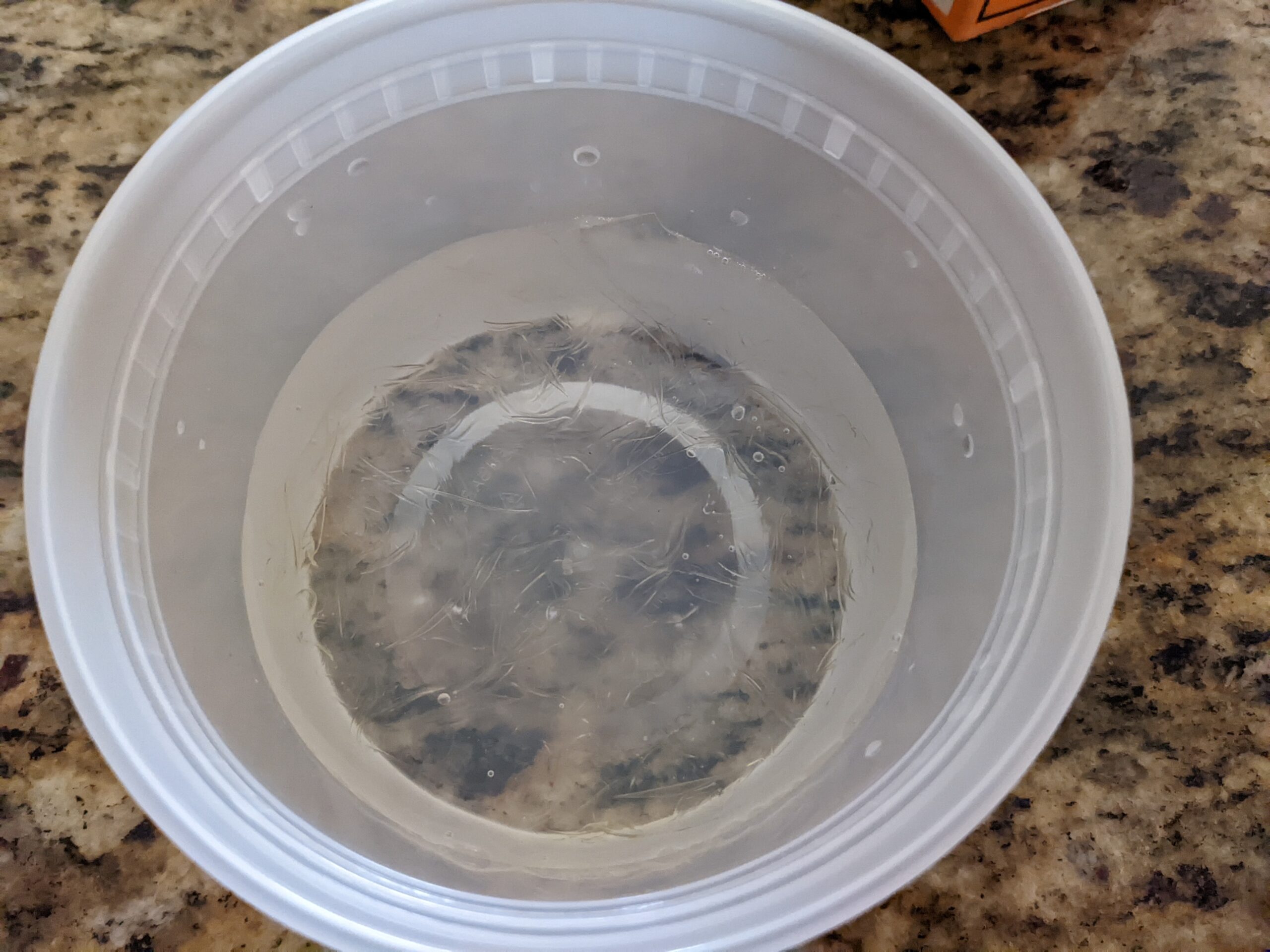 Pandan Ube Cake Roll with Coconut Jelly – Off the Map