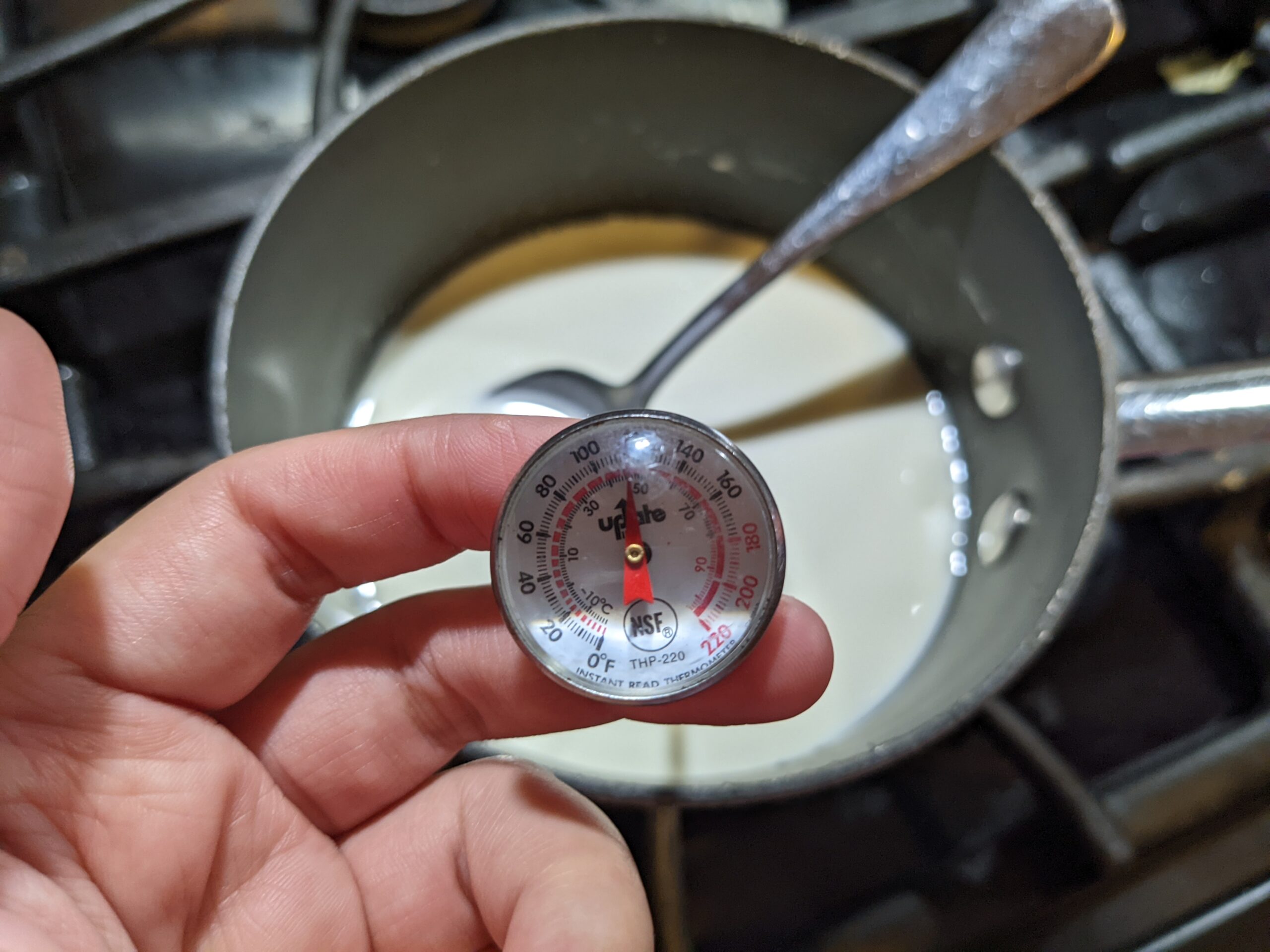 Pandan Ube Cake Roll with Coconut Jelly – Off the Map